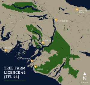 New Study Shows Nearly a Third of the Forests in TFL 44 are Old Growth ...